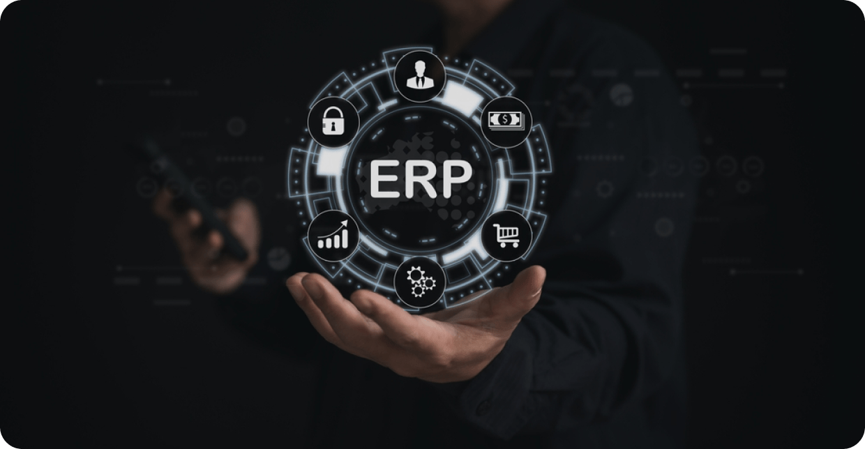 ERP System Services - nozom tqnia